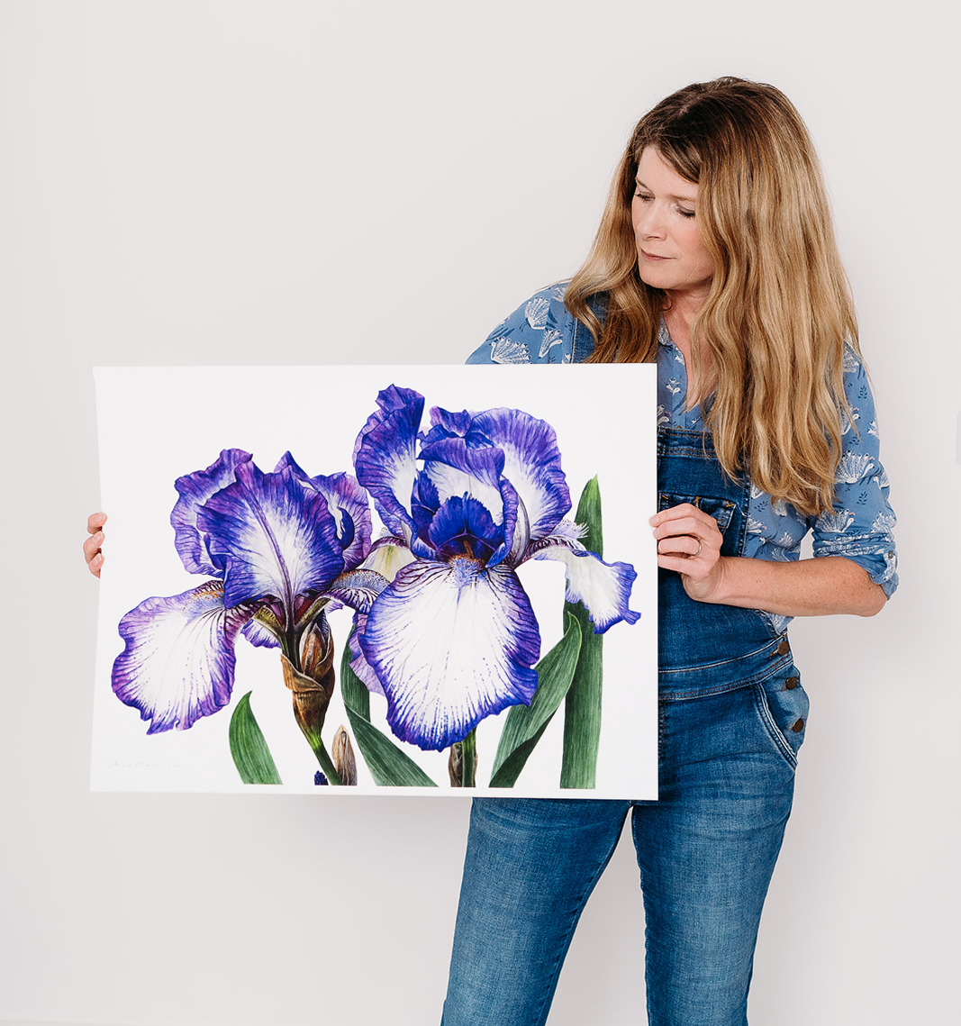 Artist Anna Mason's Artwork & Print Shop – Anna Mason Fine Art