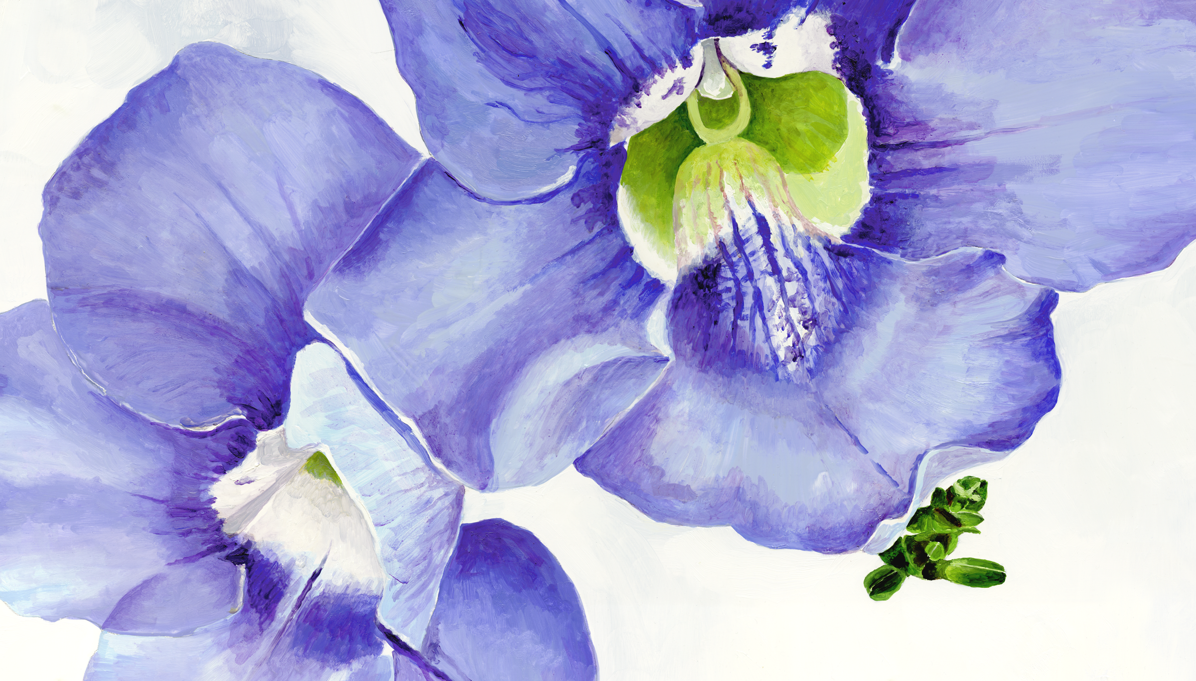 Artist Anna Mason's Artwork & Print Shop – Anna Mason Fine Art