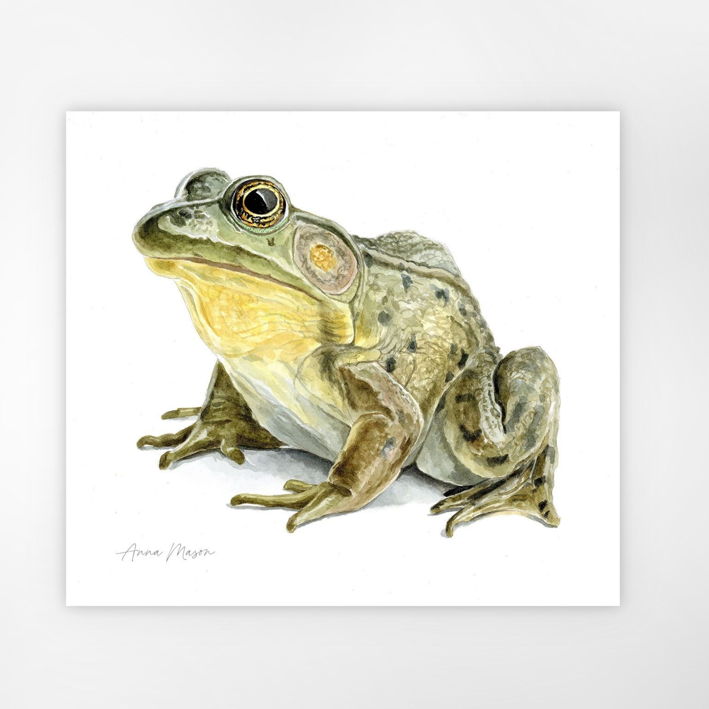 Garden Frog (Original painting) – Anna Mason Fine Art